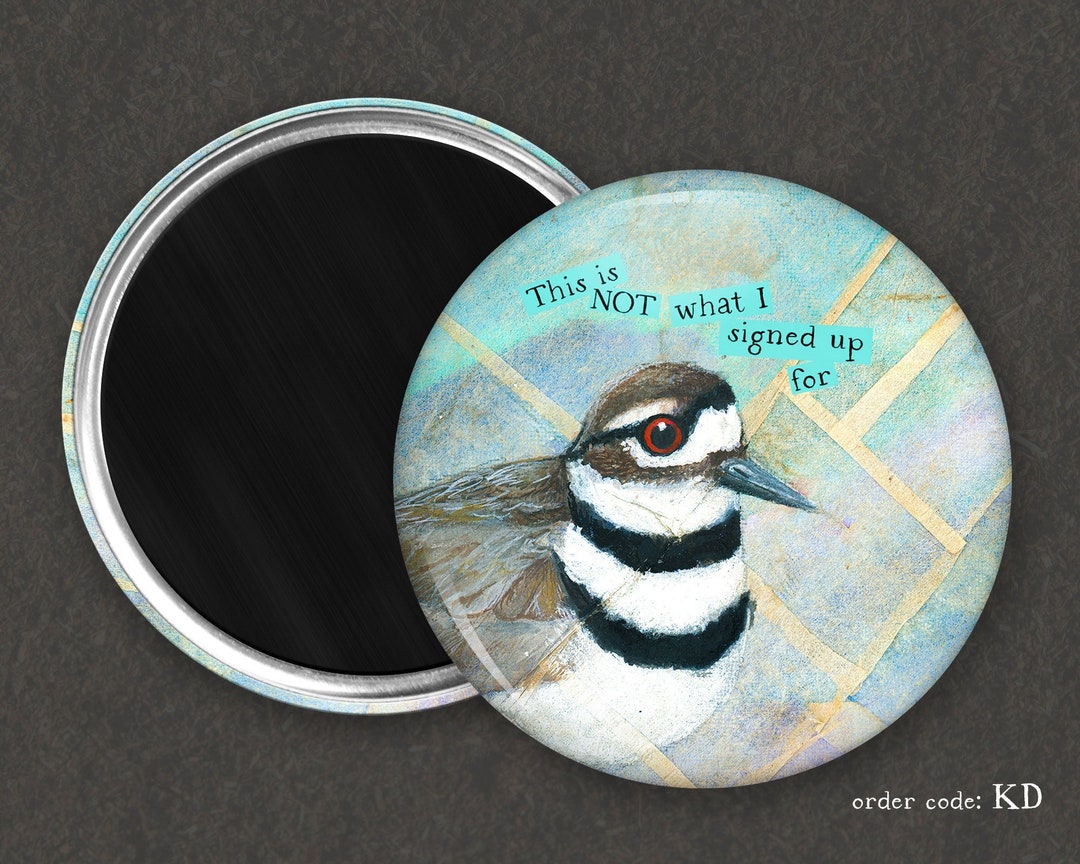 Killdeer Questions Life Choices I Funny Bird Magnet I Rude Bird Magnet ...