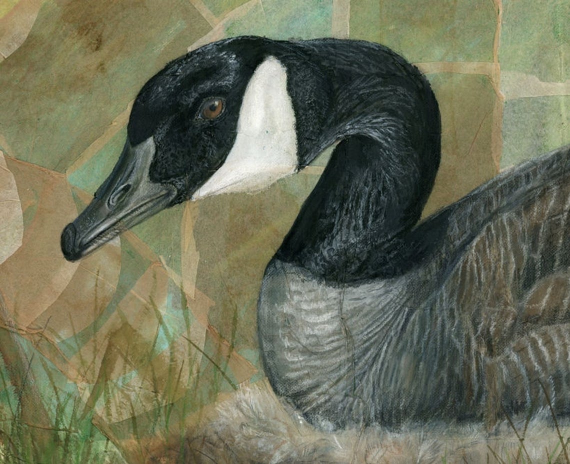 Canada Goose Painting Goose Painting Bird Painting Bird | Etsy