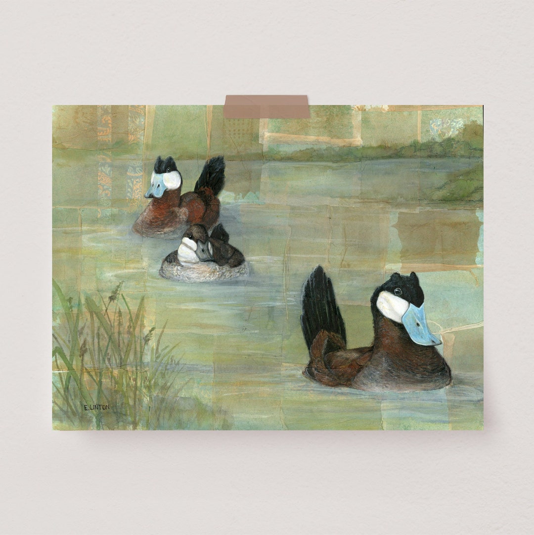Ruddy Ducks | Bird Painting | Bird Artwork | Bird Décor | Animal Art ...