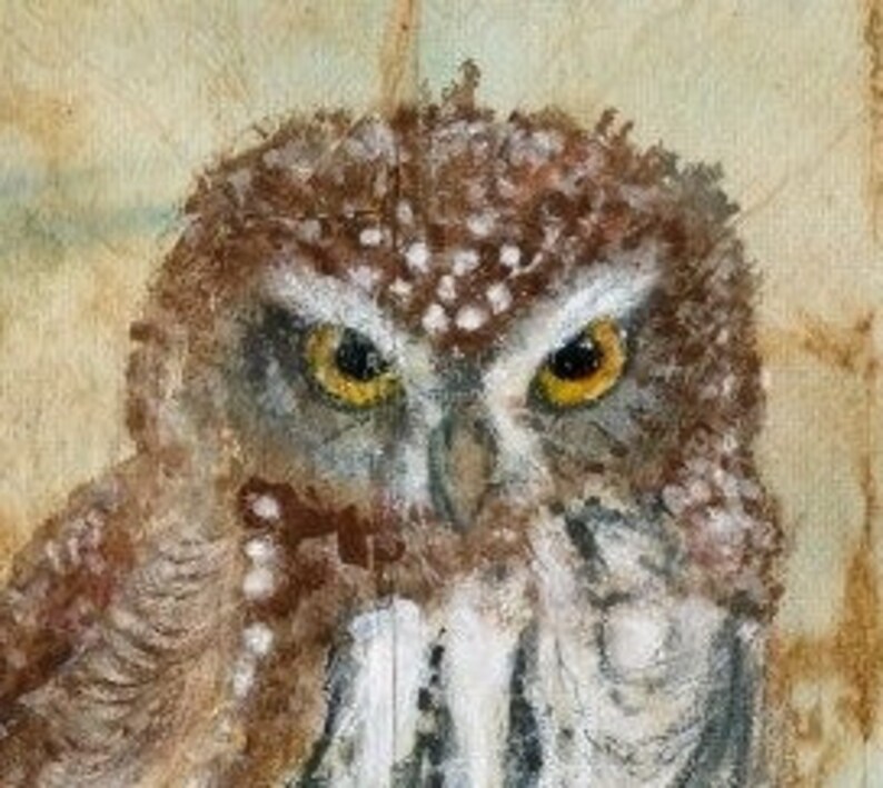Northern Pygmy Owl Painting Owl Art Print Wildlife Artwork - Etsy