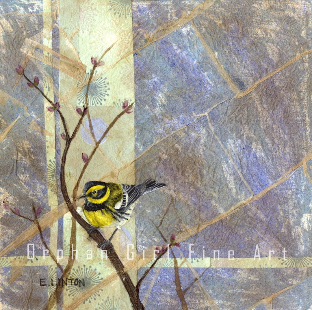 Townsend's Warbler Painting, Warbler Painting, Warbler Art Print ...