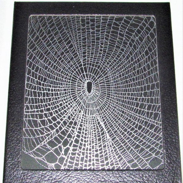 Framed Spider Web - Etsy