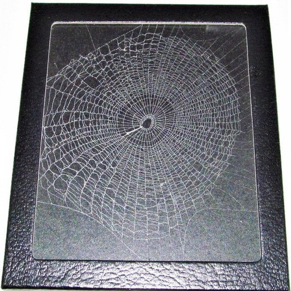 Framed Spider Web - Etsy