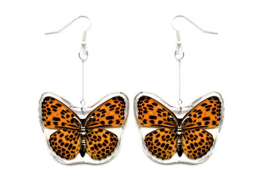 Timelaea Maculata Orange Black Butterfly Wing Earrings - Etsy