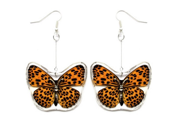 Timelaea Maculata Orange Black Butterfly Wing Earrings | Etsy