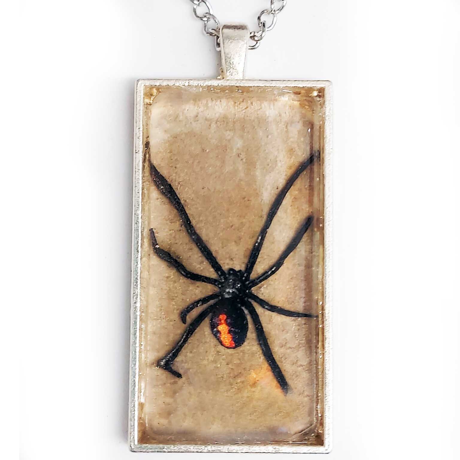 Desert Black Widow Spider