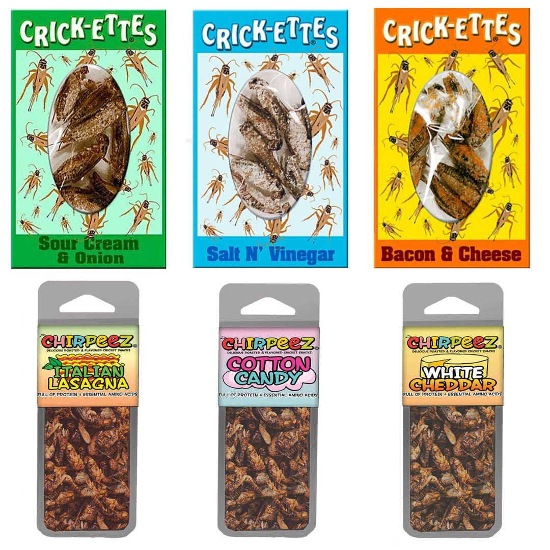 EDIBLE CRICKETS Edible Insects Bred for Human Consumption - Etsy
