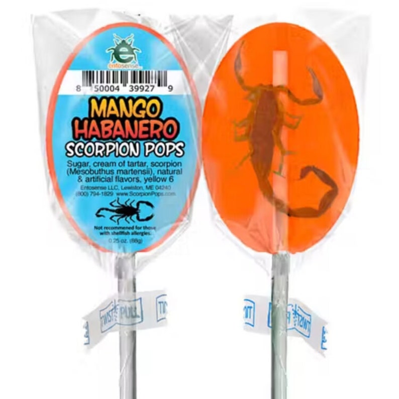 SCORPION Sucker Lollipop Edible Arachnid Bred for Human Consumption - Etsy