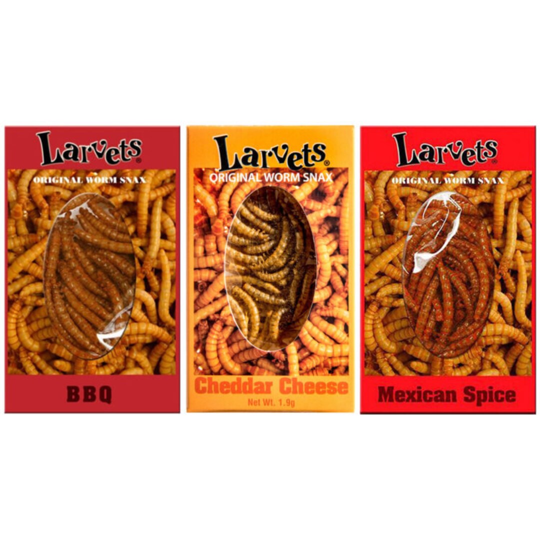 SUPERWORMS Larvets Edible Insects Bred for Human Consumption - Etsy
