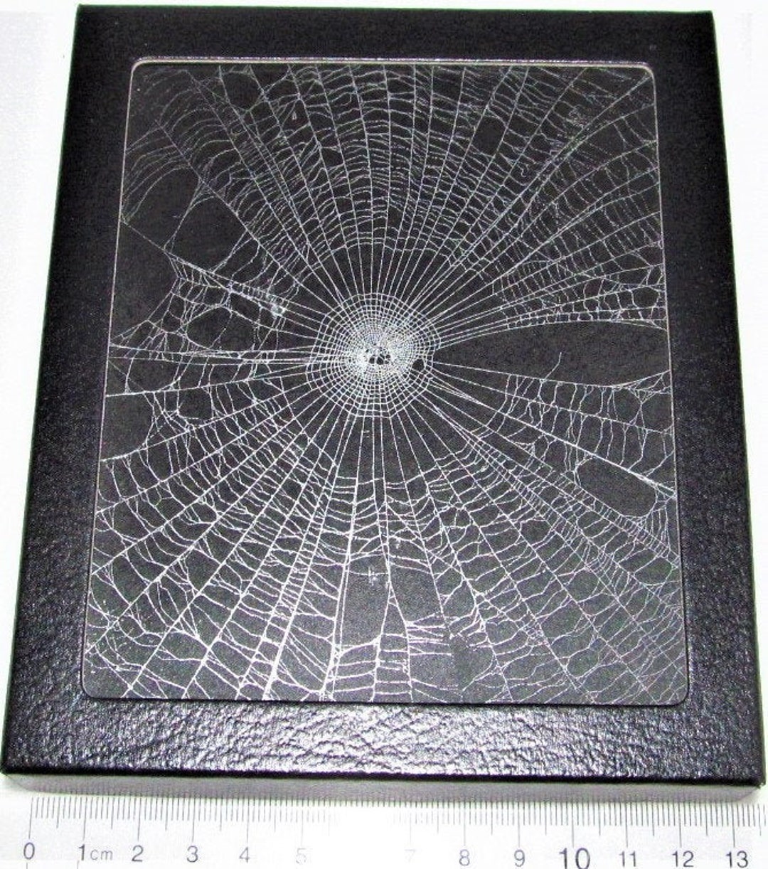 Real Framed Preserved Orb Weaver Spider Web USA - Etsy