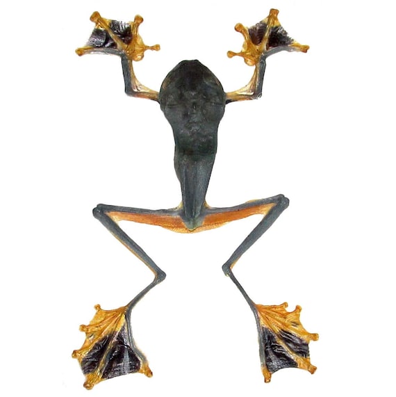 Frog With Hand Raised