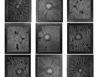 AUTHENTIC Orb Weaver Spider Web Preserved Spider Web for Craft or ...