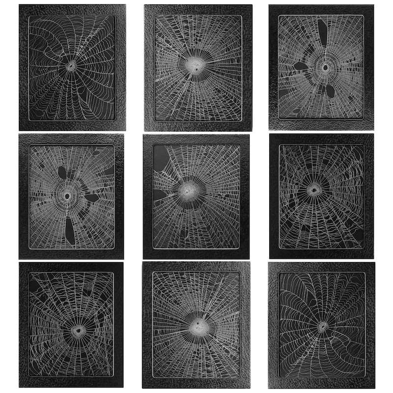 Web Weaver Spider - Etsy