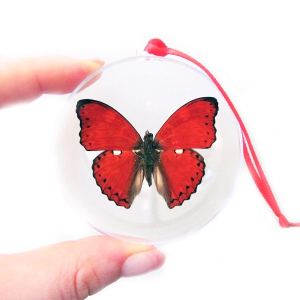 Red Butterfly - Etsy