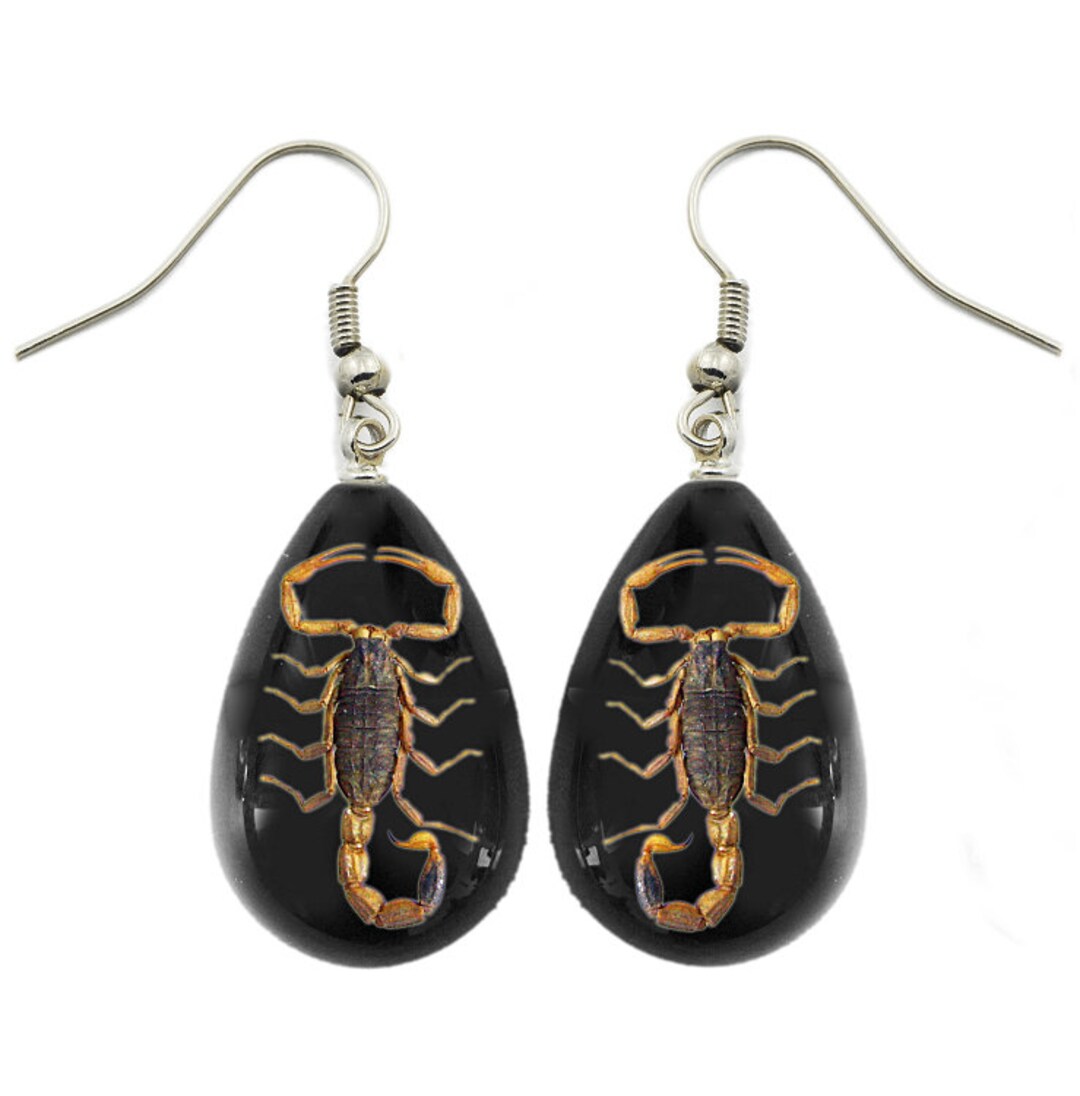 REAL Preserved Black Gold Scorpion Earrings Acrylic Sterling Silver - Etsy