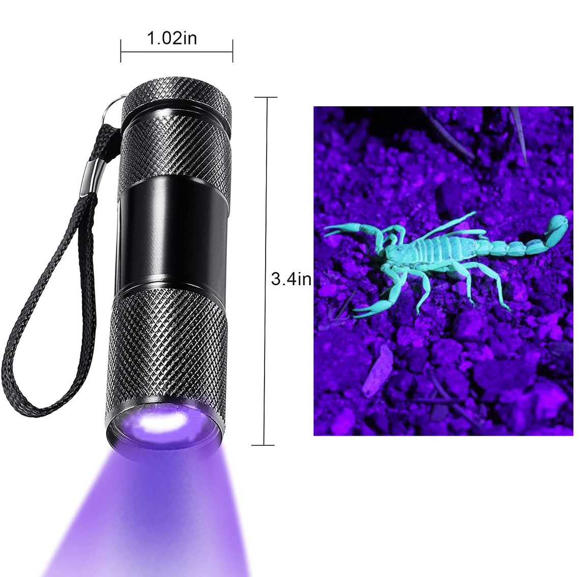 UV Black Light Scorpion Detection Flashlight - Etsy