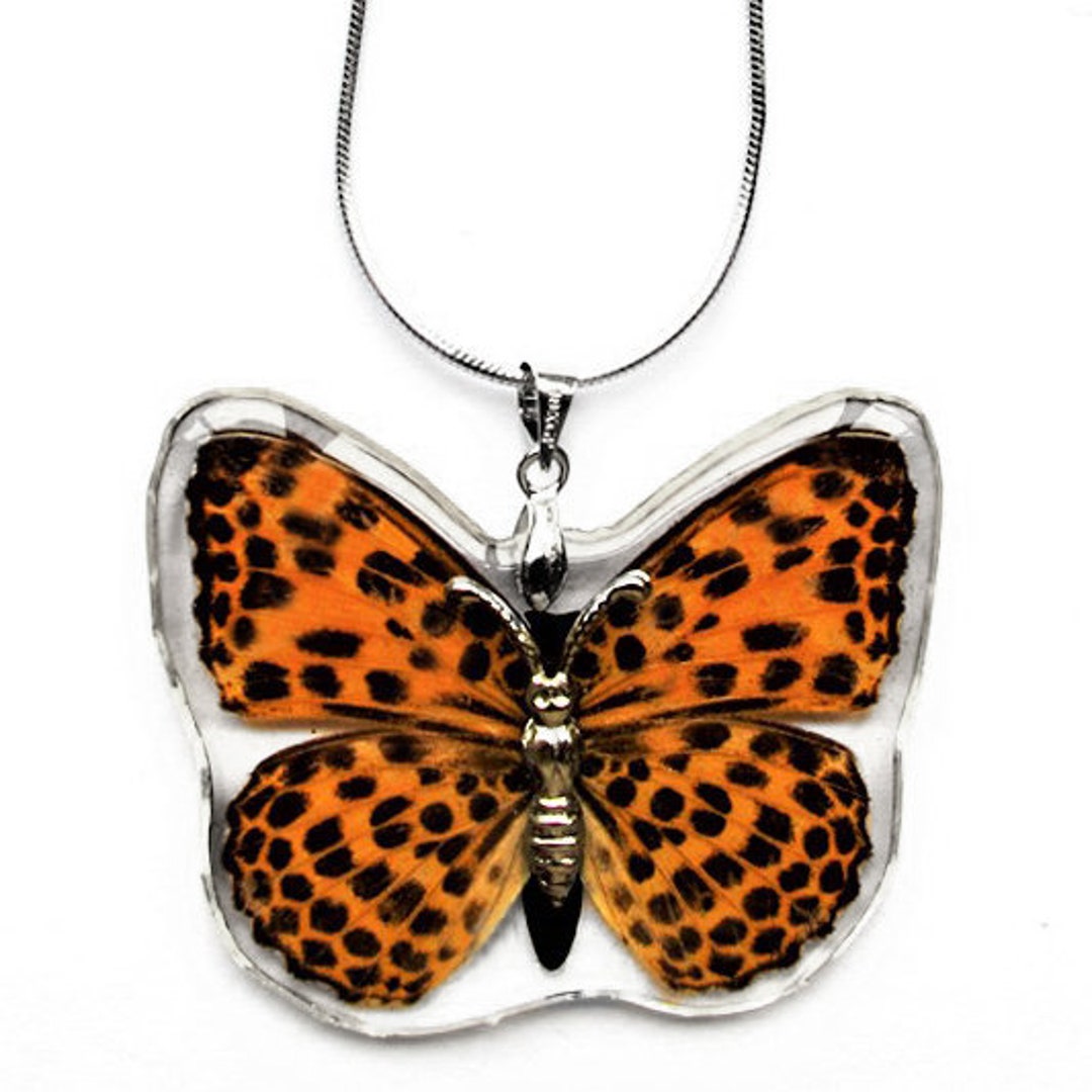 Timelaea Maculata Orange Black Butterfly Wing Necklace - Etsy