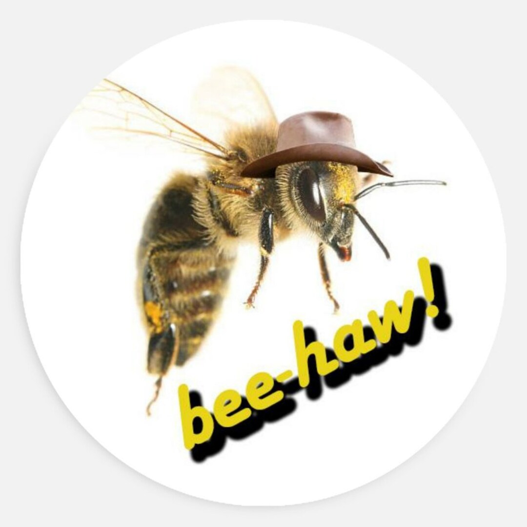Bee-haw! Cowboy Bee Pun 1.5in Sticker - Etsy
