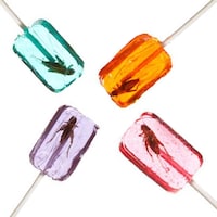 Hotlix Insect Lollipops, Edible Bugs, Edible Insects for Humans, Bug ...