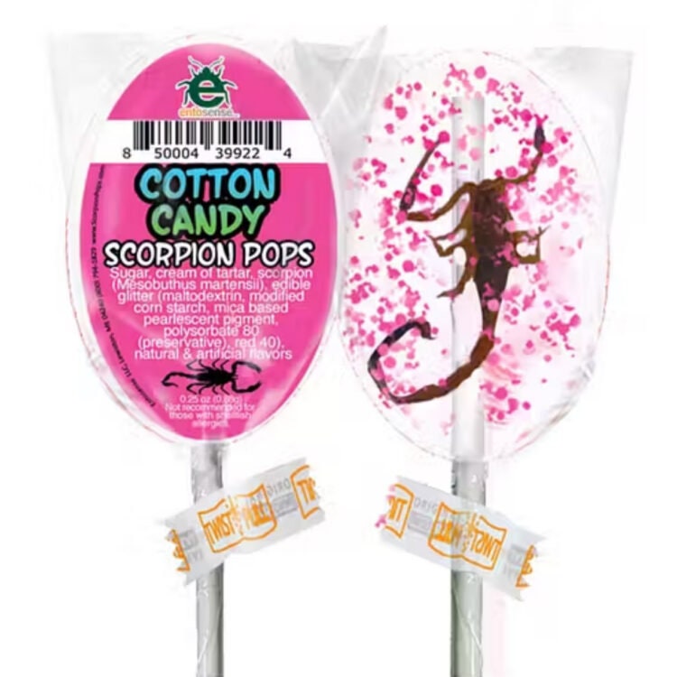 SCORPION Sucker Lollipop Edible Arachnid Bred for Human Consumption - Etsy