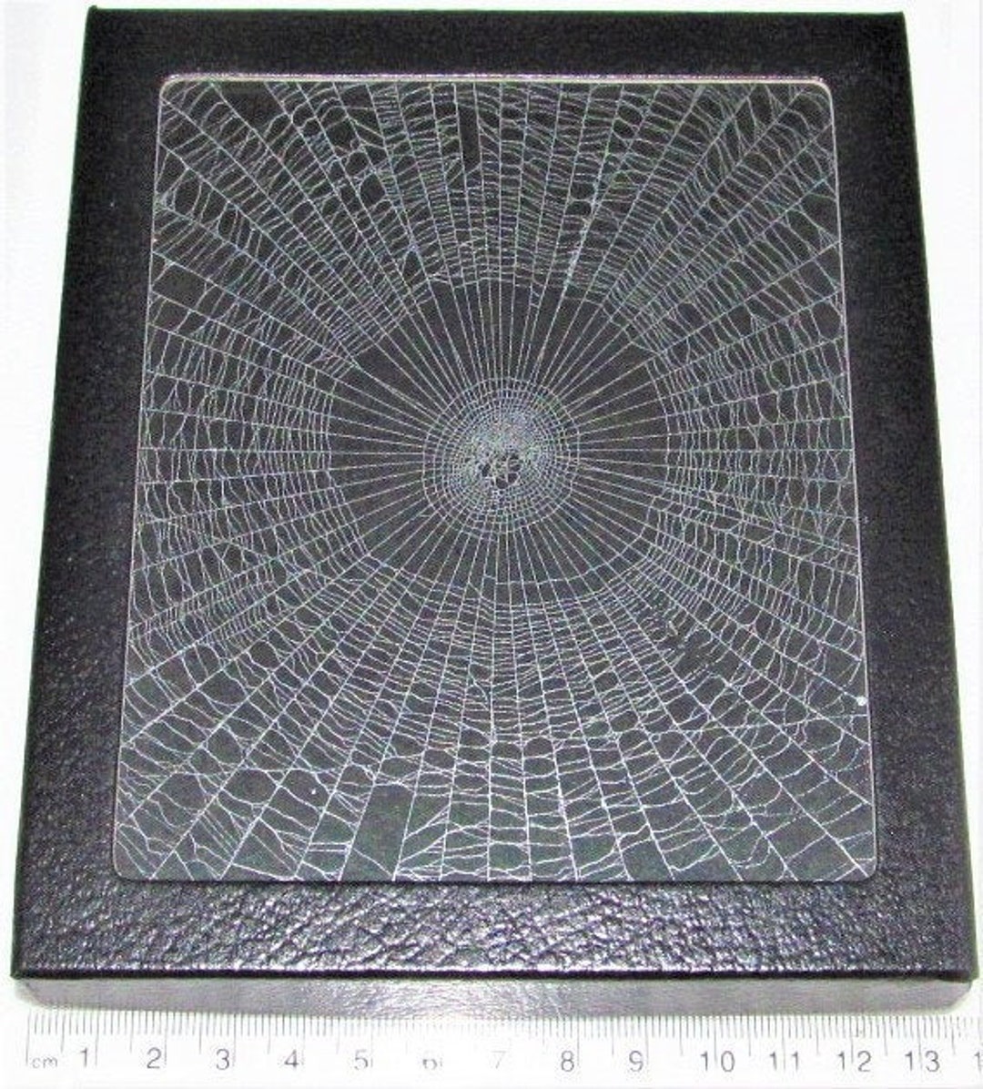 Real Framed Preserved Orb Weaver Spider Web USA - Etsy