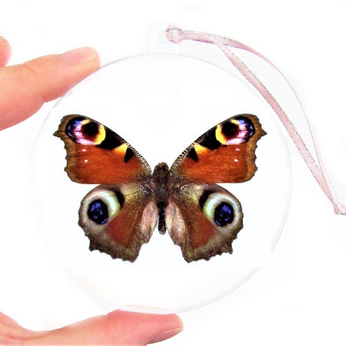 Crenis Pechueli Real Pink Purple Butterfly Christmas Ornament | Etsy