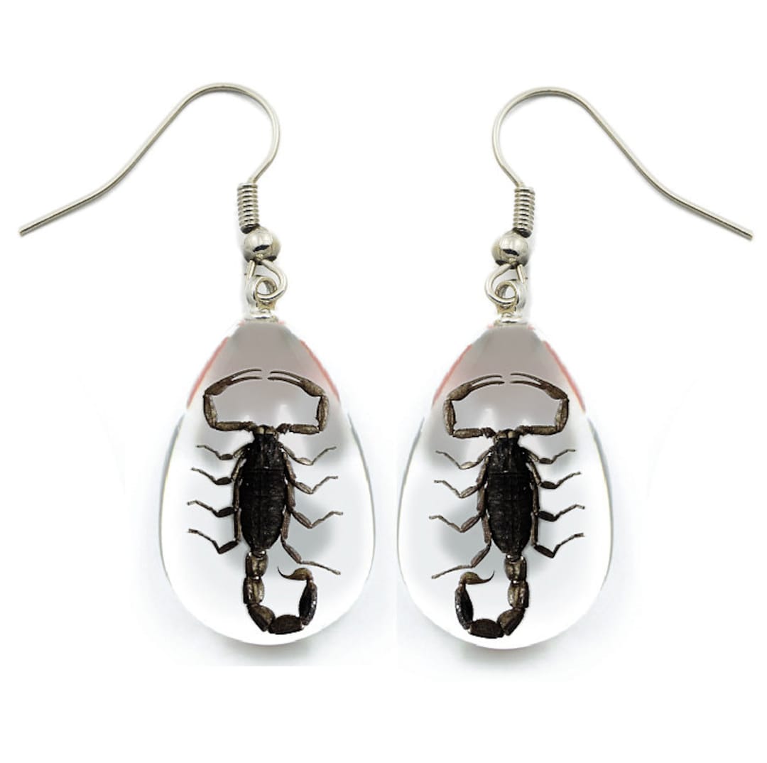 REAL Preserved Black Scorpion Earrings Acrylic Sterling Silver - Etsy