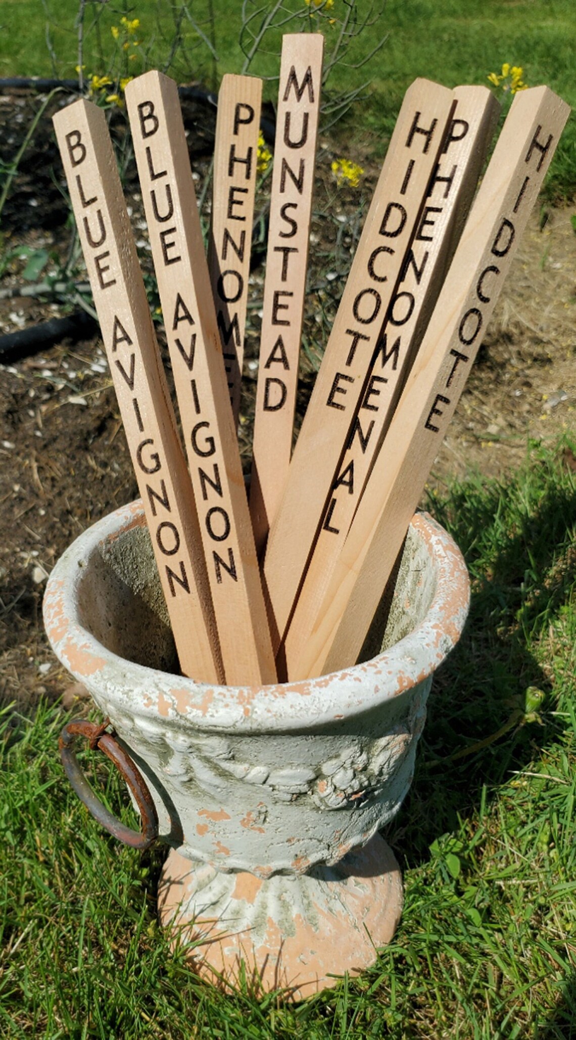 SINGLE SIDE Wooden Plant Tag 12 Customized Text Laser Burned CEDAR ...