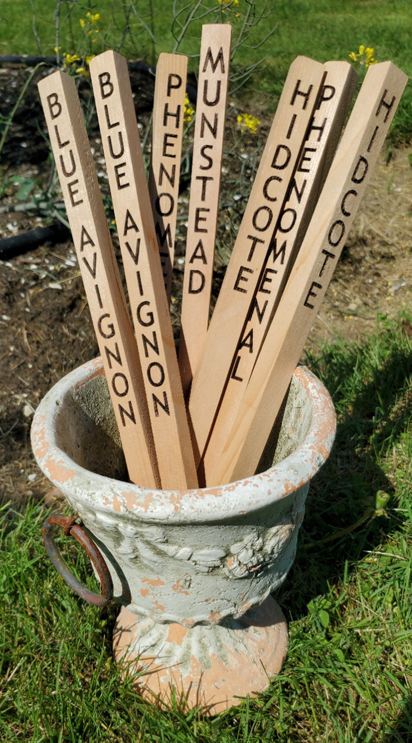 SINGLE SIDE Wooden Plant Tag 12" Customized Text Laser Burned CEDAR ...