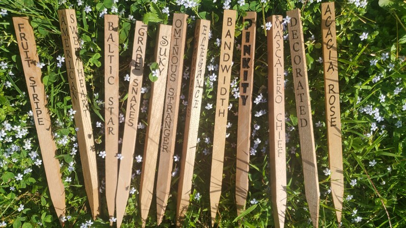 FOUR SIDED Custom Garden Stakes 12" Laser Engraved Cedar Garden Stake ...