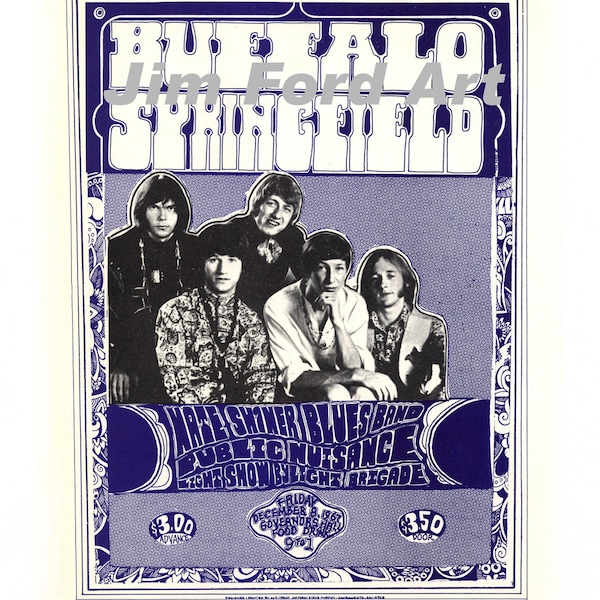 Buffalo Poster - Etsy