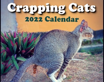 Pooping Cat Calendar - Etsy UK