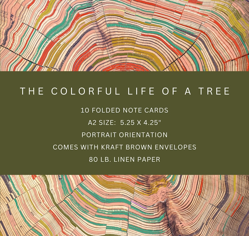 Tree Ring Notecards: Colorful Nature Blank Inside Thank You Cards - Etsy