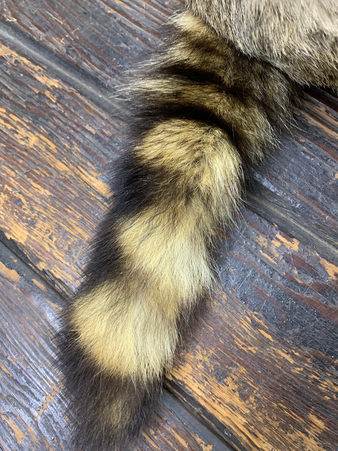 Coon Tail Rabbit Hats/4 Sizes Available - Etsy