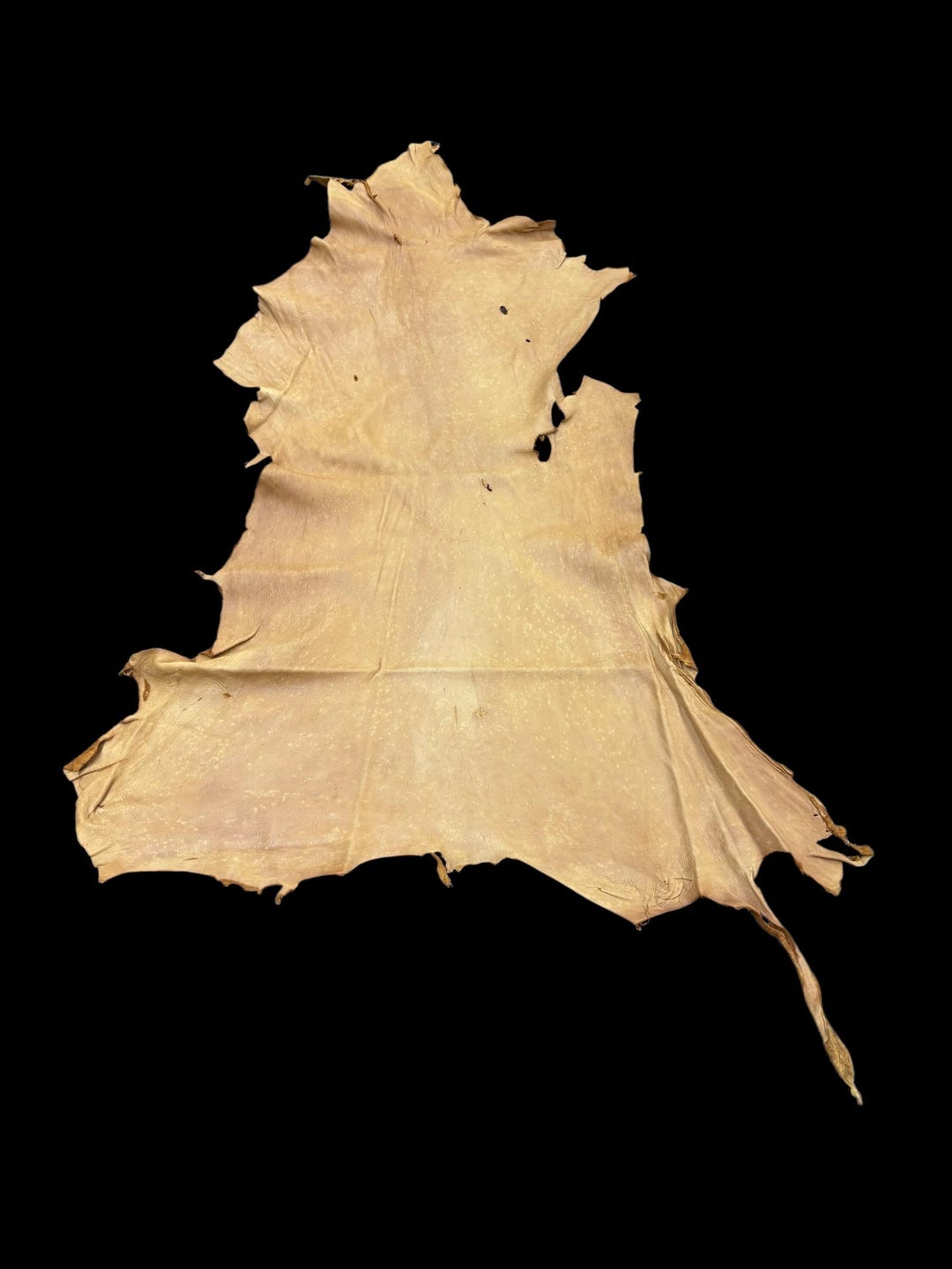 Deerskin/deer Leather / Buckskin Hide/saddle Color / C12-pic5 - Etsy