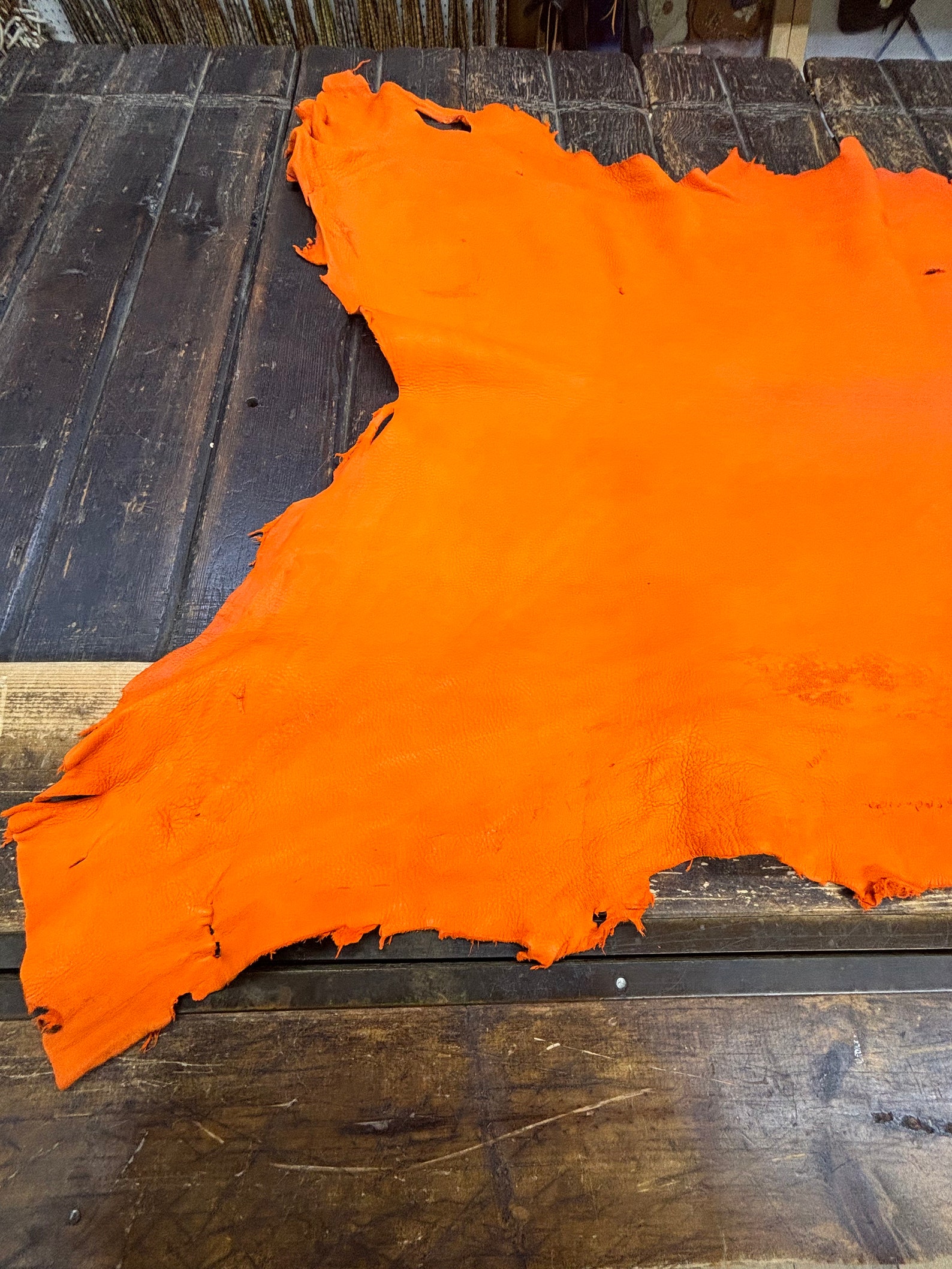 Deerskin Buckskin Hide Orange Color 11sf Nice Grain! C11-pic303 - Etsy