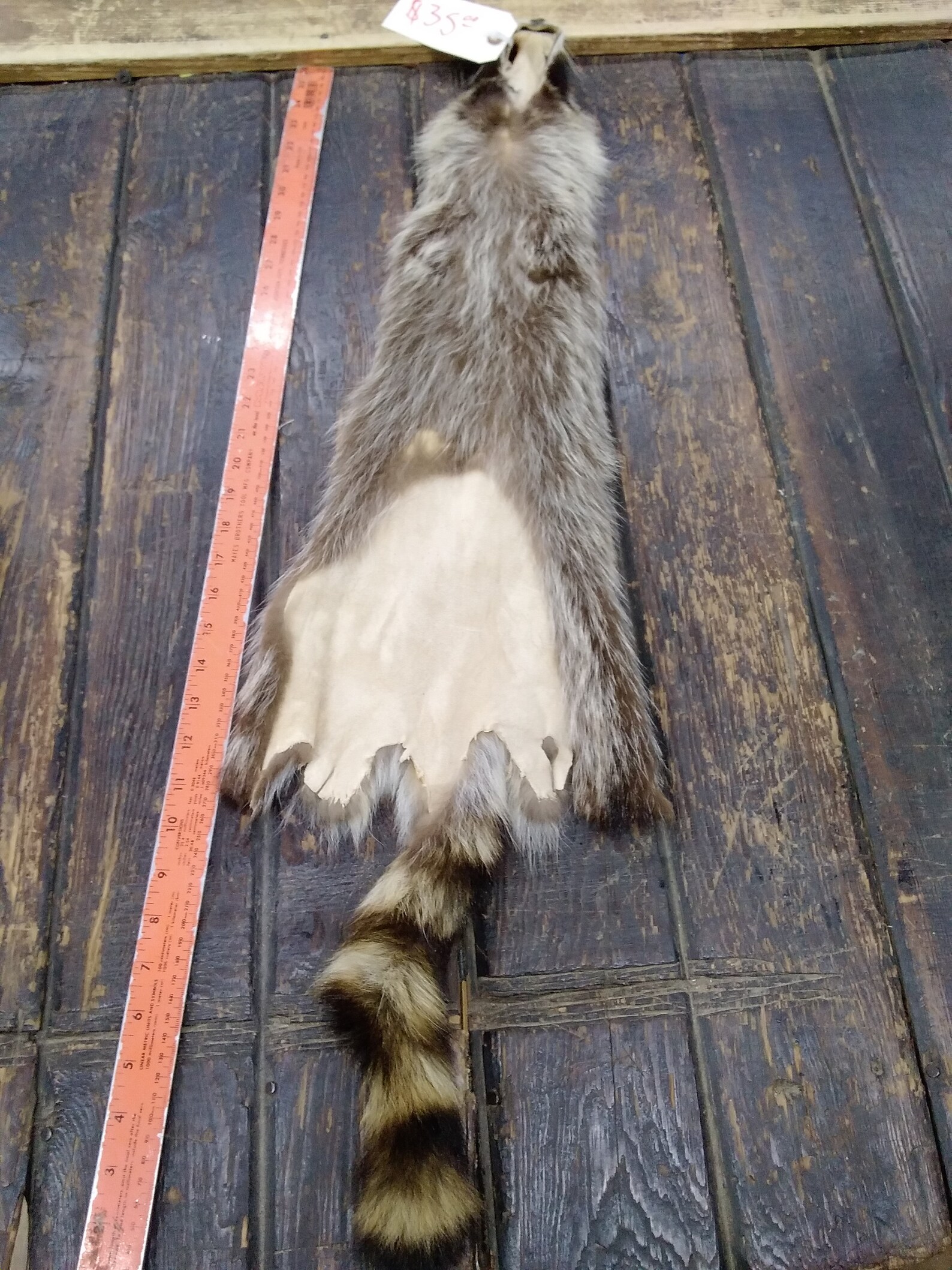 Racoon Hide Fur Hide 635 - Etsy