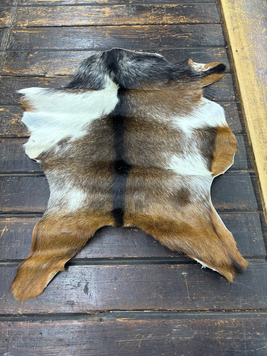 Goat Hide, Hair on Goat Hide, 23"x23", Shelf6-#5 - Etsy