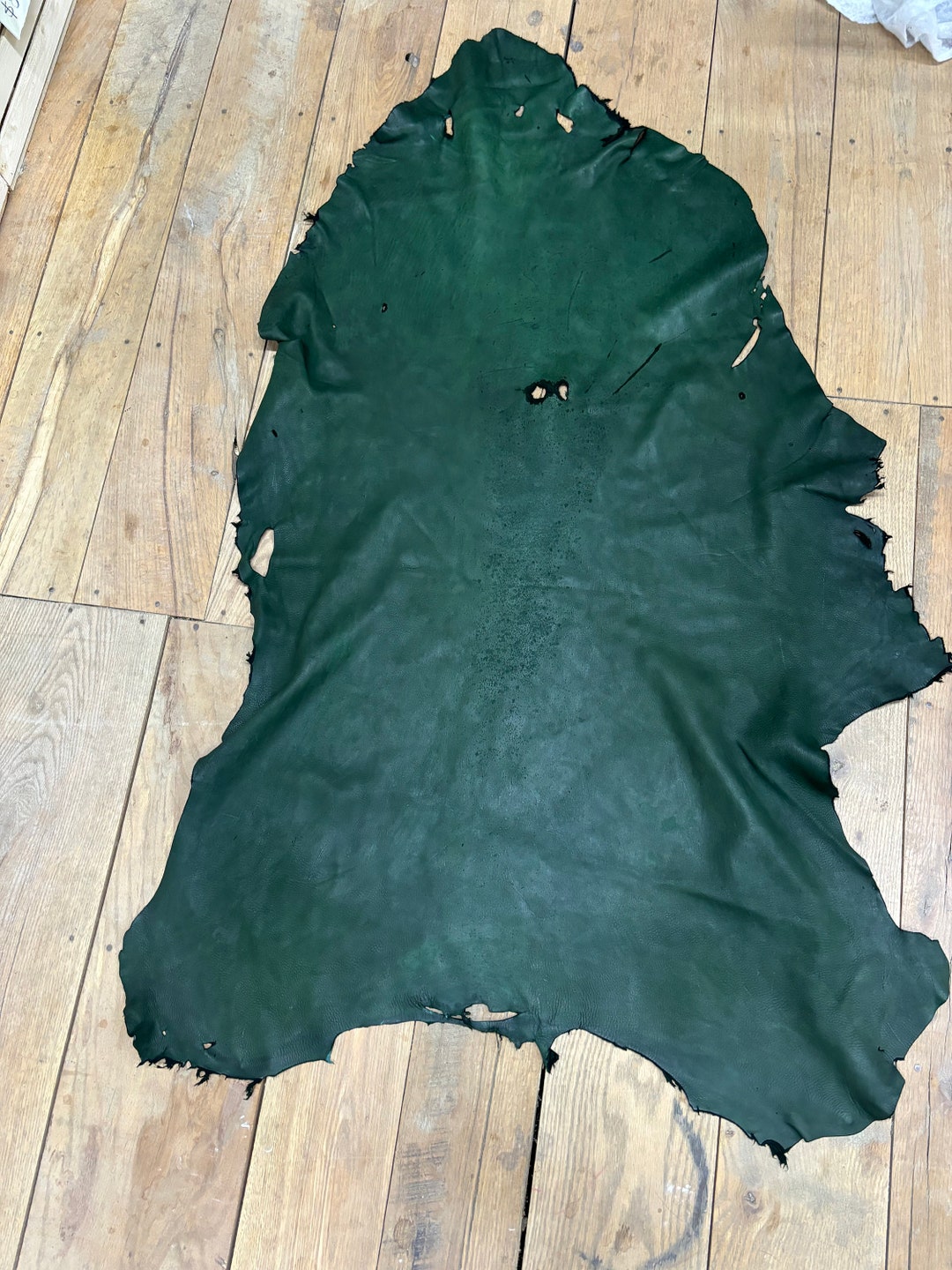 Deerskin Buckskin Hide Green Color Nice Grain C12 Pic 1 - Etsy