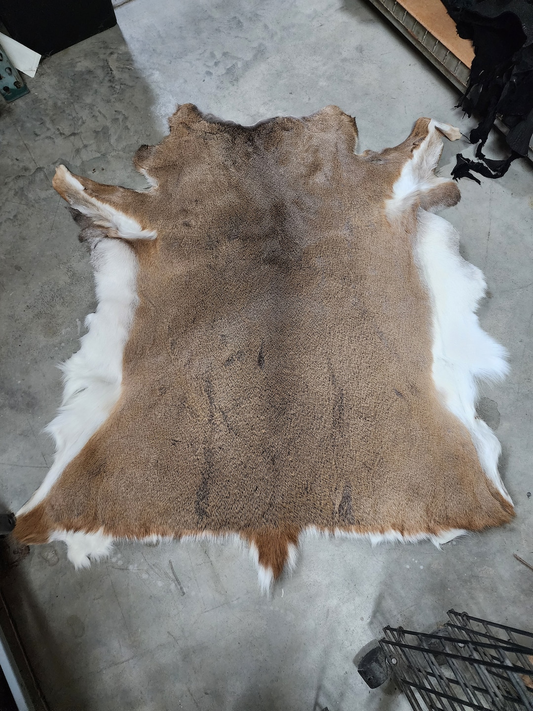 Hair on Deer Hide Rug, Whitetail Hair on Hide, BGSHOP - Etsy