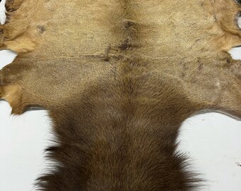 Elk Skin | Etsy