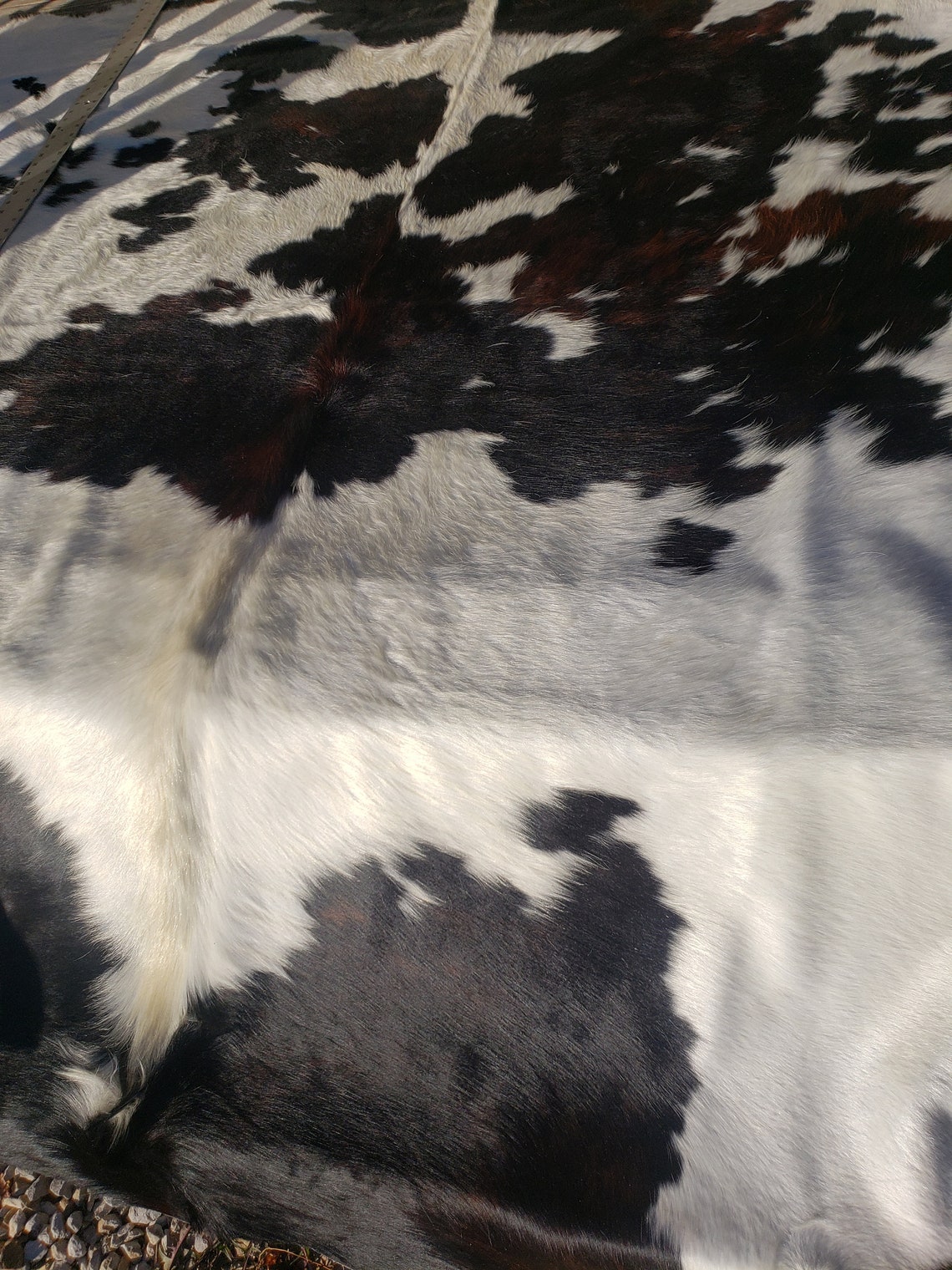 Cowhides Geniune Hair on Hide BIG HIDE C1-9 - Etsy