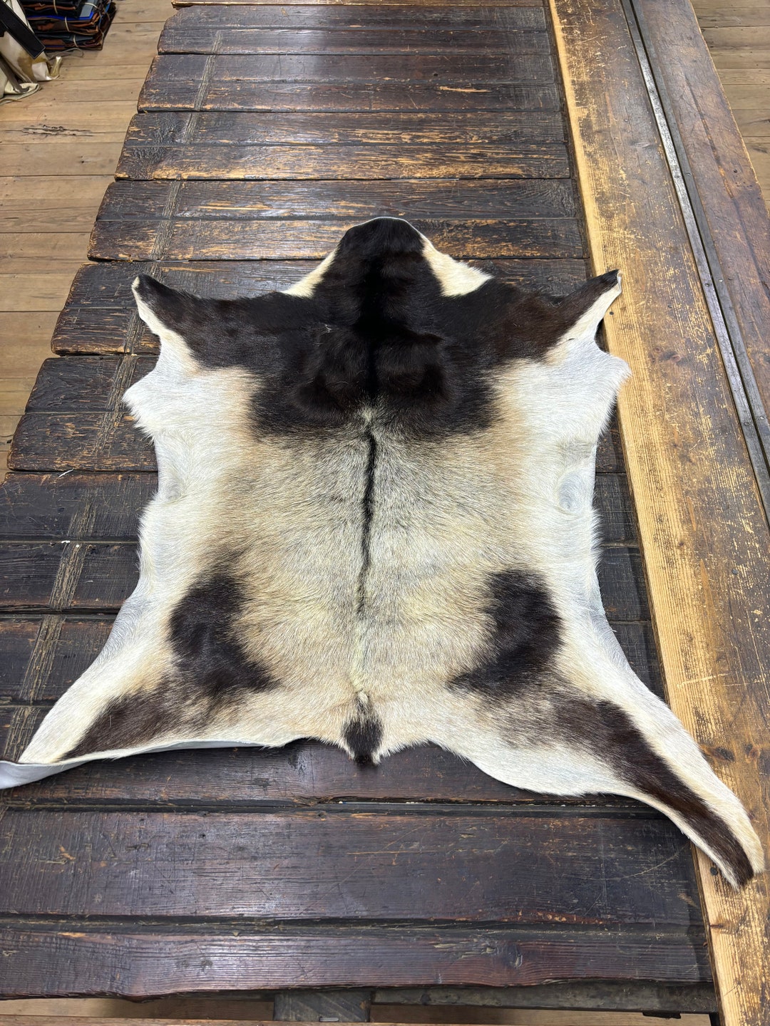 Goat Hide, Hair on Goat Hide, 37"x24", Shelf6-#10 - Etsy