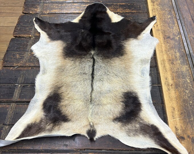 Goat Hide, Hair on Goat Hide, 37"x24", Shelf6-#10 - Etsy