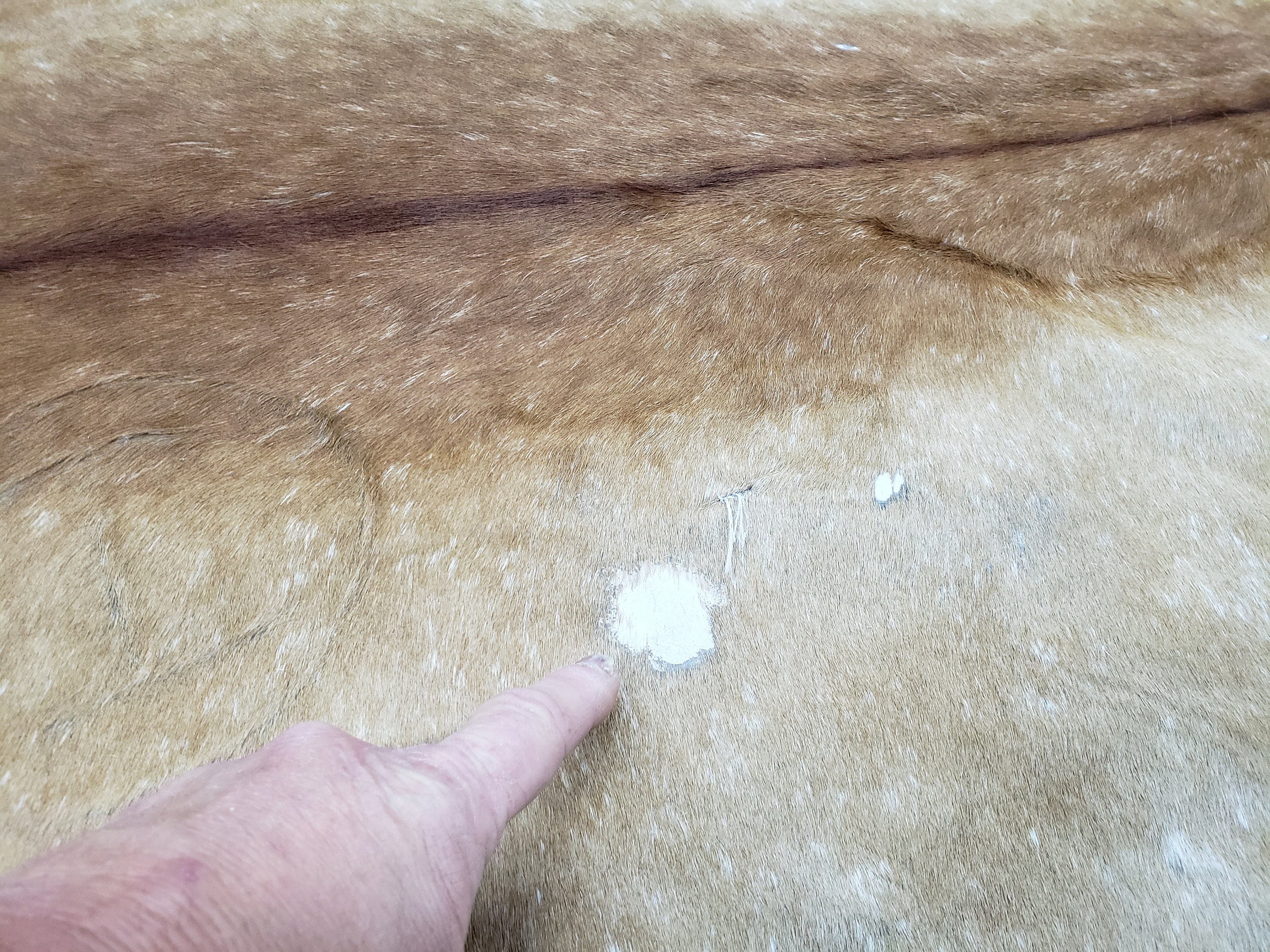 Cowhides Geniune Hair on Hide BIG HIDE Q5 | Etsy