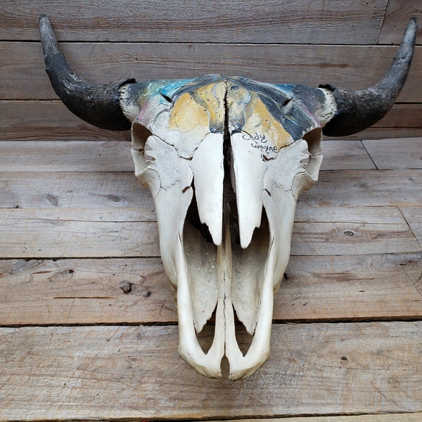 Buffalo Skull - Etsy