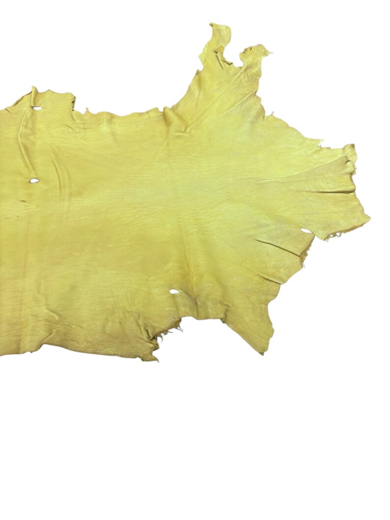 Deerskin/deer Leather / Buckskin Hide / Gold Color / C11-pic 304 - Etsy