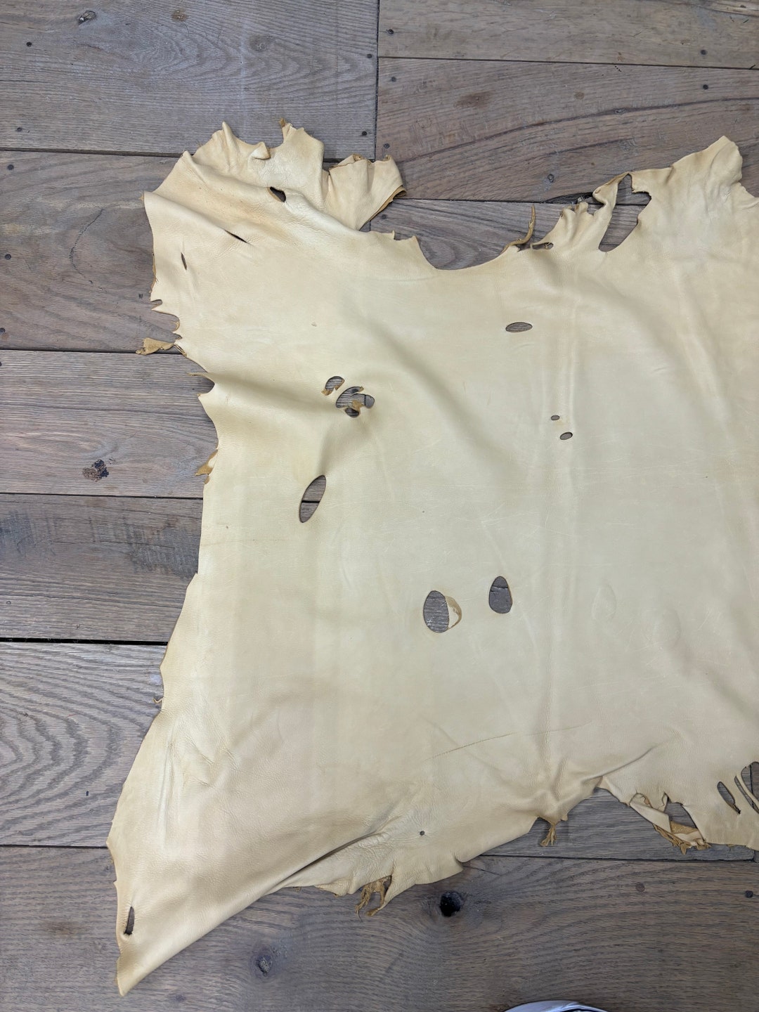 Deerskin/deer Leather / Buckskin Hide/smoke Color / C 12-pic31 - Etsy