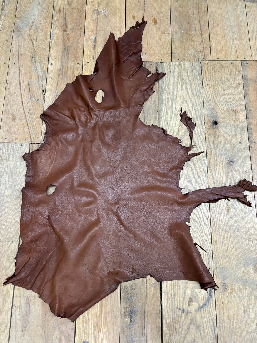 Deerskin Buckskin Hide Whiskey Color 11sf Nice Grain! C11-pic 303 - Etsy