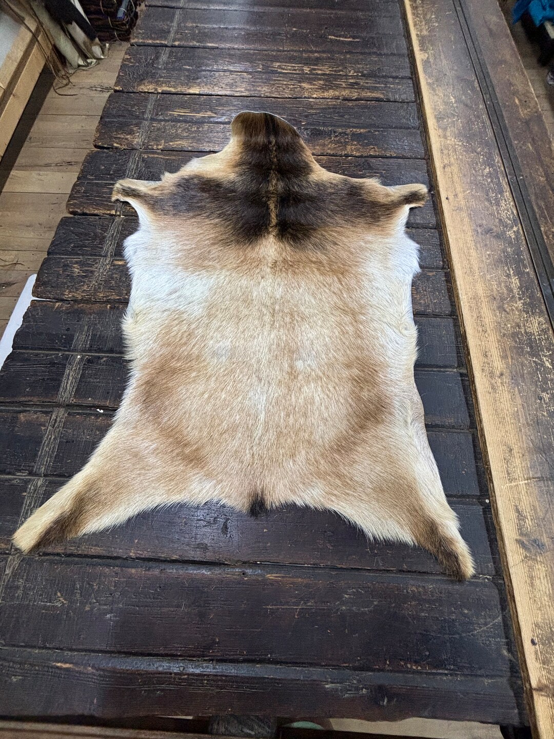 Goat Hide, Hair on Goat Hide, 37"x25", Shelf6-#28 - Etsy